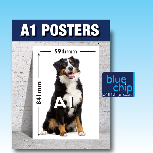 A1 Size Posters